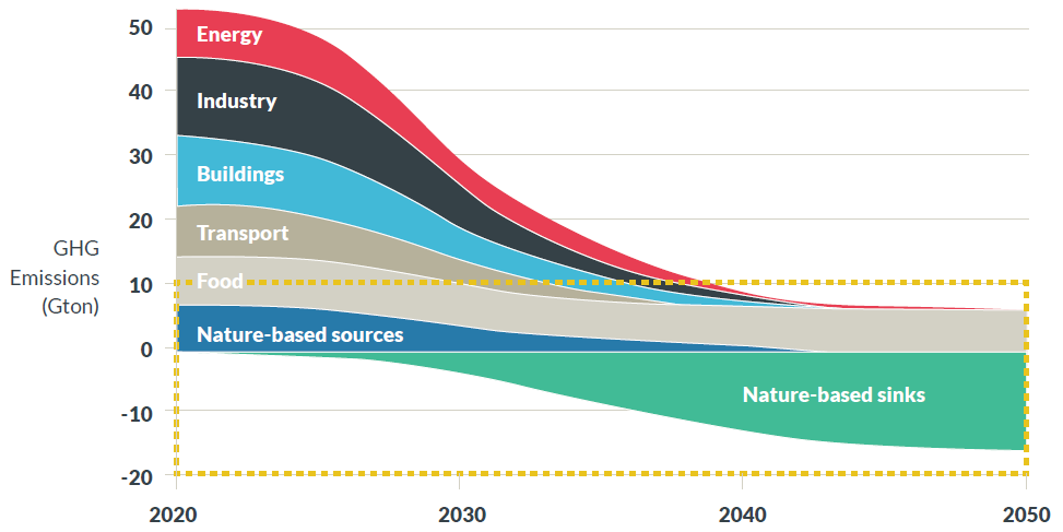 ReFi Decarbonization - Regenerative Finance